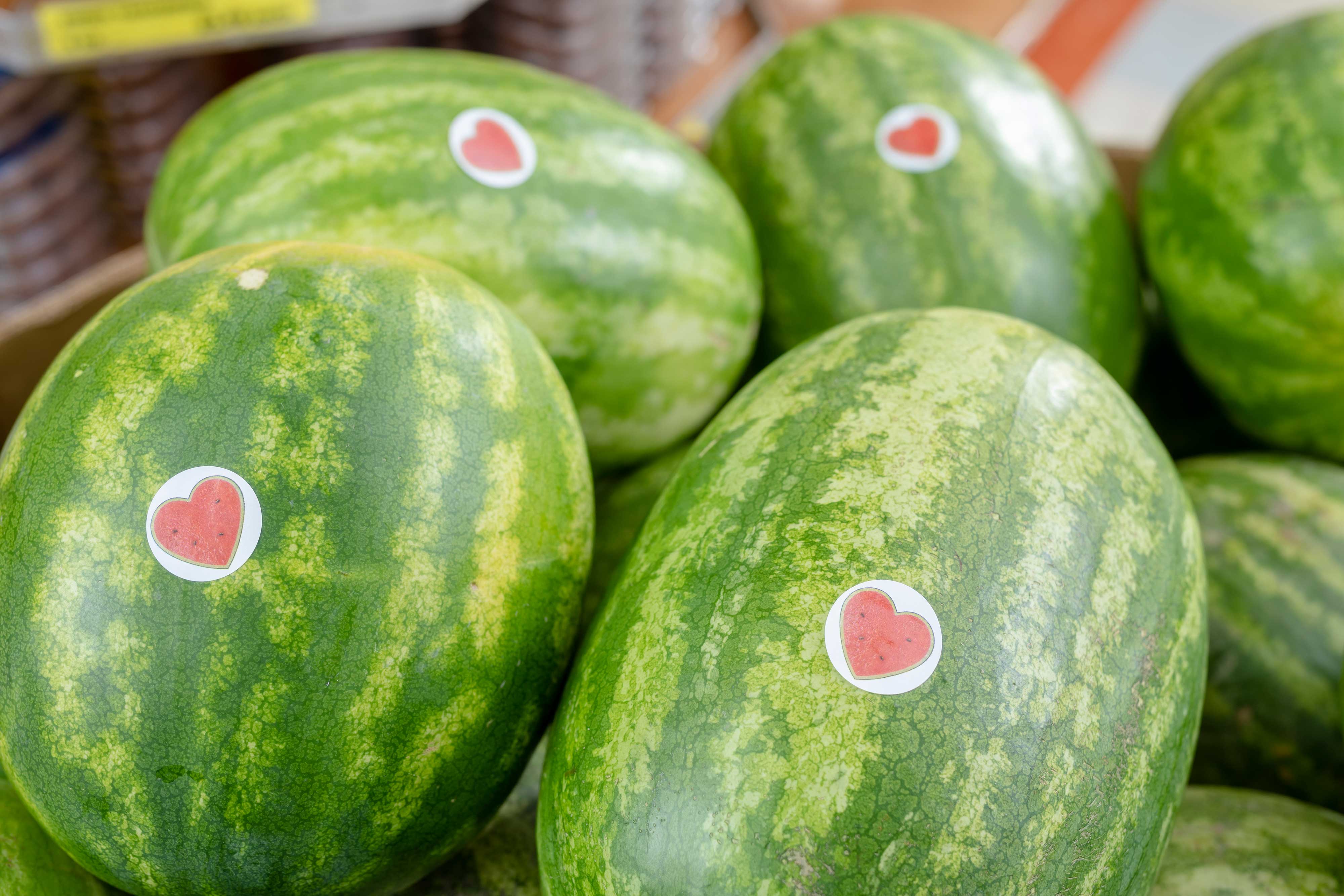 Point of Sale Materials - Watermelon Board
